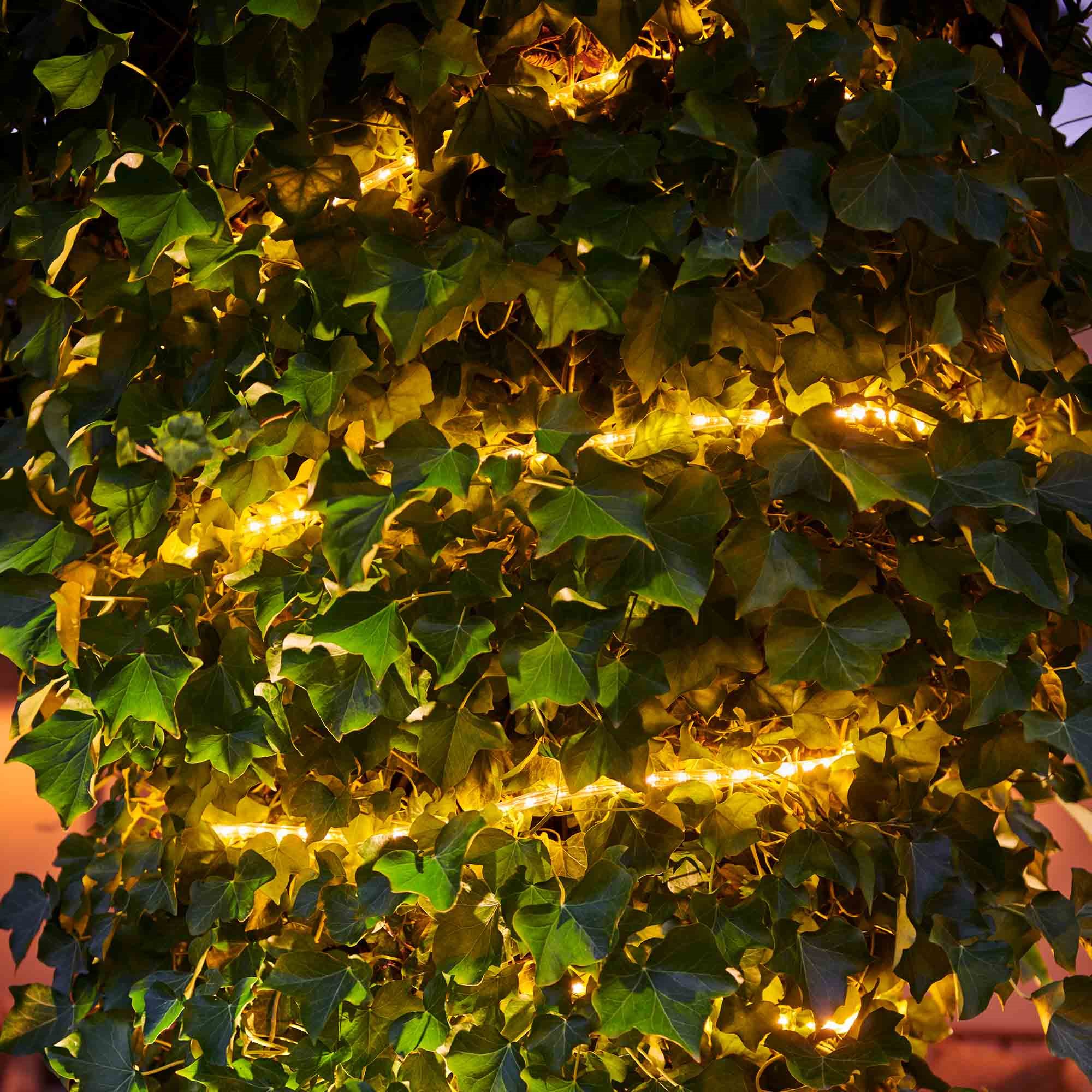 Sirius Tech-Line startsæt lysslange på 4 meter med 144 LED’er, Ø13mm