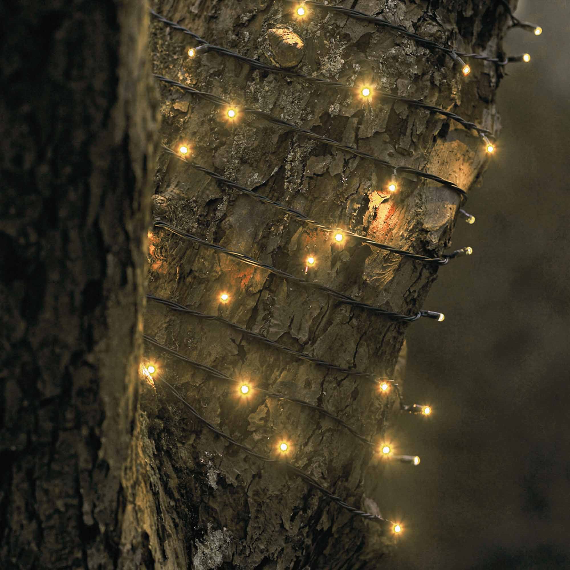 Easy-Line 300 LED lys i varm hvid på 29,9 meter samt 5 meter ekstra ledning